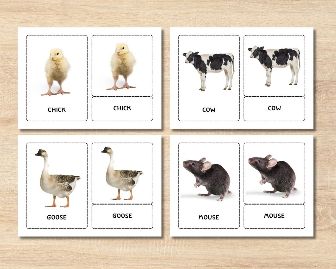 Flashcards for Kids, FARM ANIMALS (real Pictures), Farm Animals Cards ...