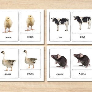 Flashcards for Kids, FARM ANIMALS (real Pictures), Farm Animals Cards ...