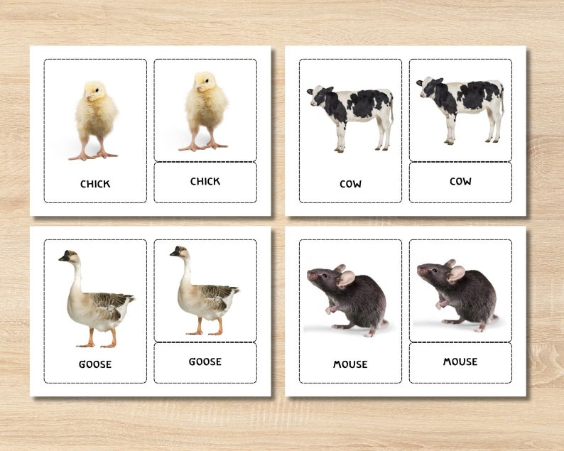 Flashcards for Kids, FARM ANIMALS (real Pictures), Farm Animals Cards ...