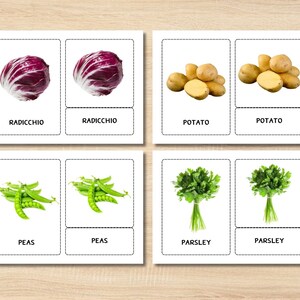 Flashcards for Kids, Vegetables (real Pictures), Vegetables Cards ...