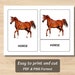 Flashcards for Kids, FARM ANIMALS (real Pictures), Farm Animals Cards ...