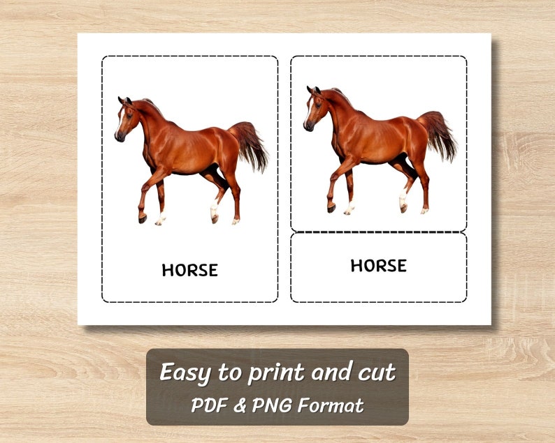 Flashcards for Kids, FARM ANIMALS (real Pictures), Farm Animals Cards ...