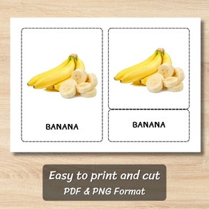 Flashcards for Kids, Fruits (real Pictures), Fruits Cards, Montessori ...