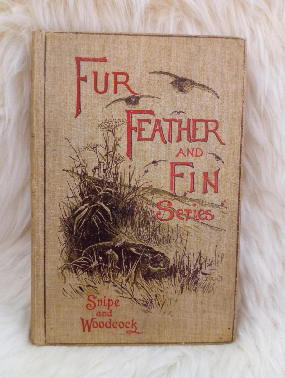 Antique Vintage Fur Feather & Fin Series Snipe and Woodcock Book Over ...