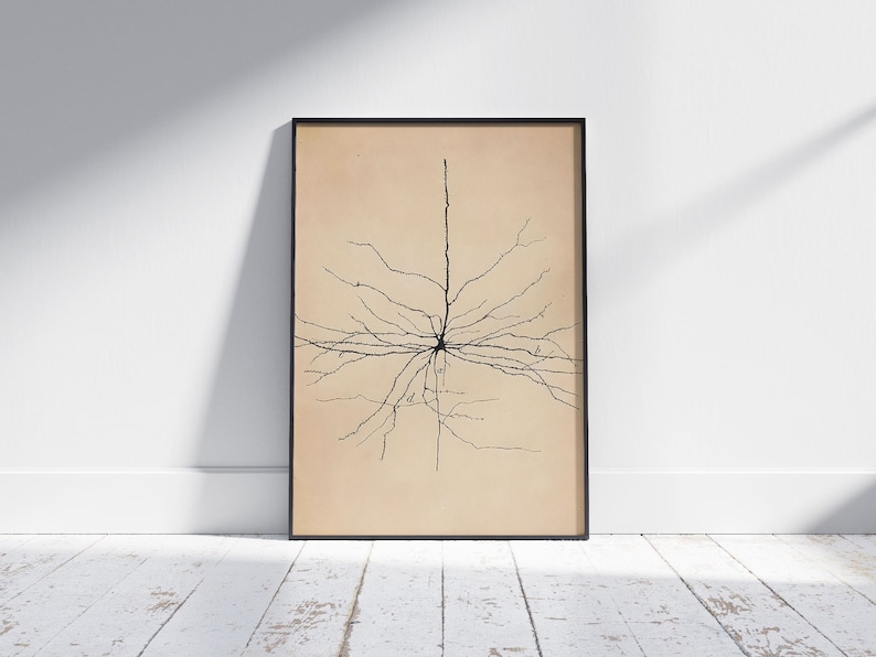 Santiago Ramón Y Cajal Neuron Painting, Neuron Painting, Reproduction ...