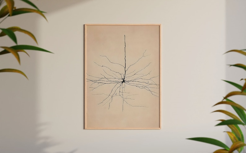 Santiago Ramón Y Cajal Neuron Painting, Neuron Painting, Reproduction ...