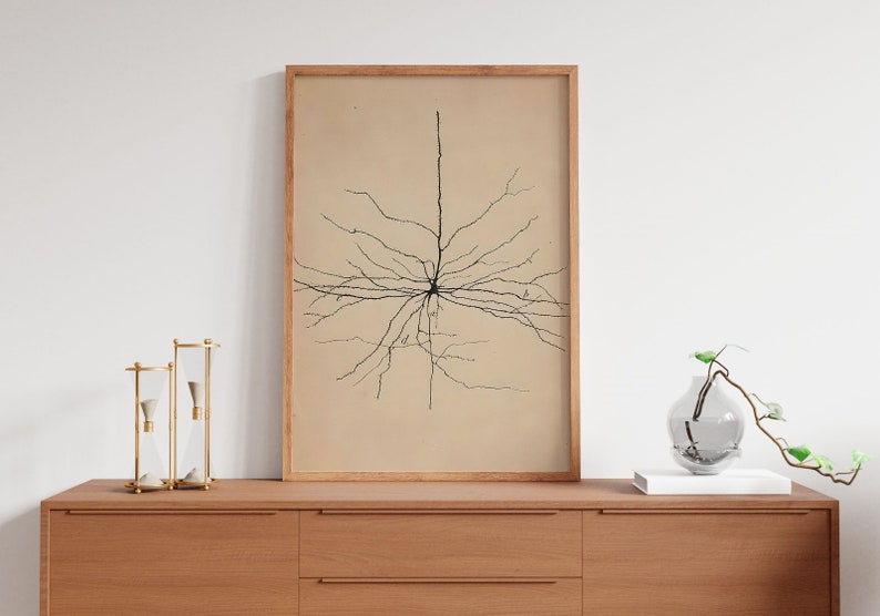 Santiago Ramón Y Cajal Neuron Painting, Neuron Painting, Reproduction ...