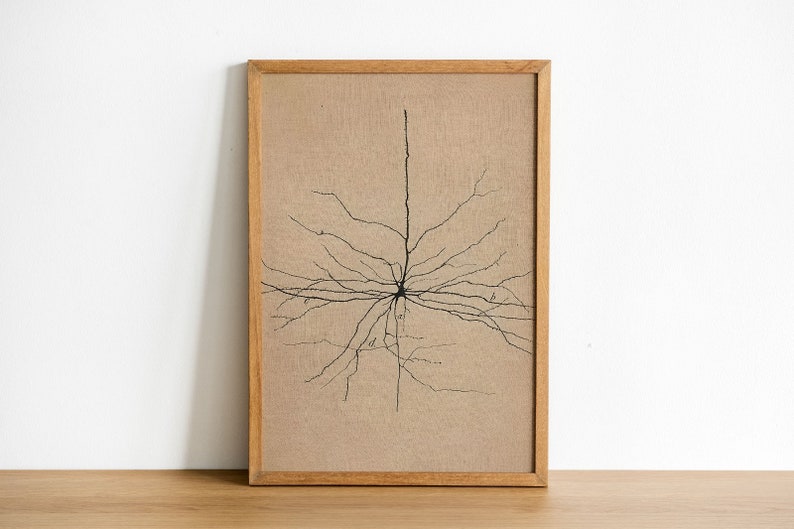 Santiago Ramón Y Cajal Neuron Painting, Neuron Painting, Reproduction ...