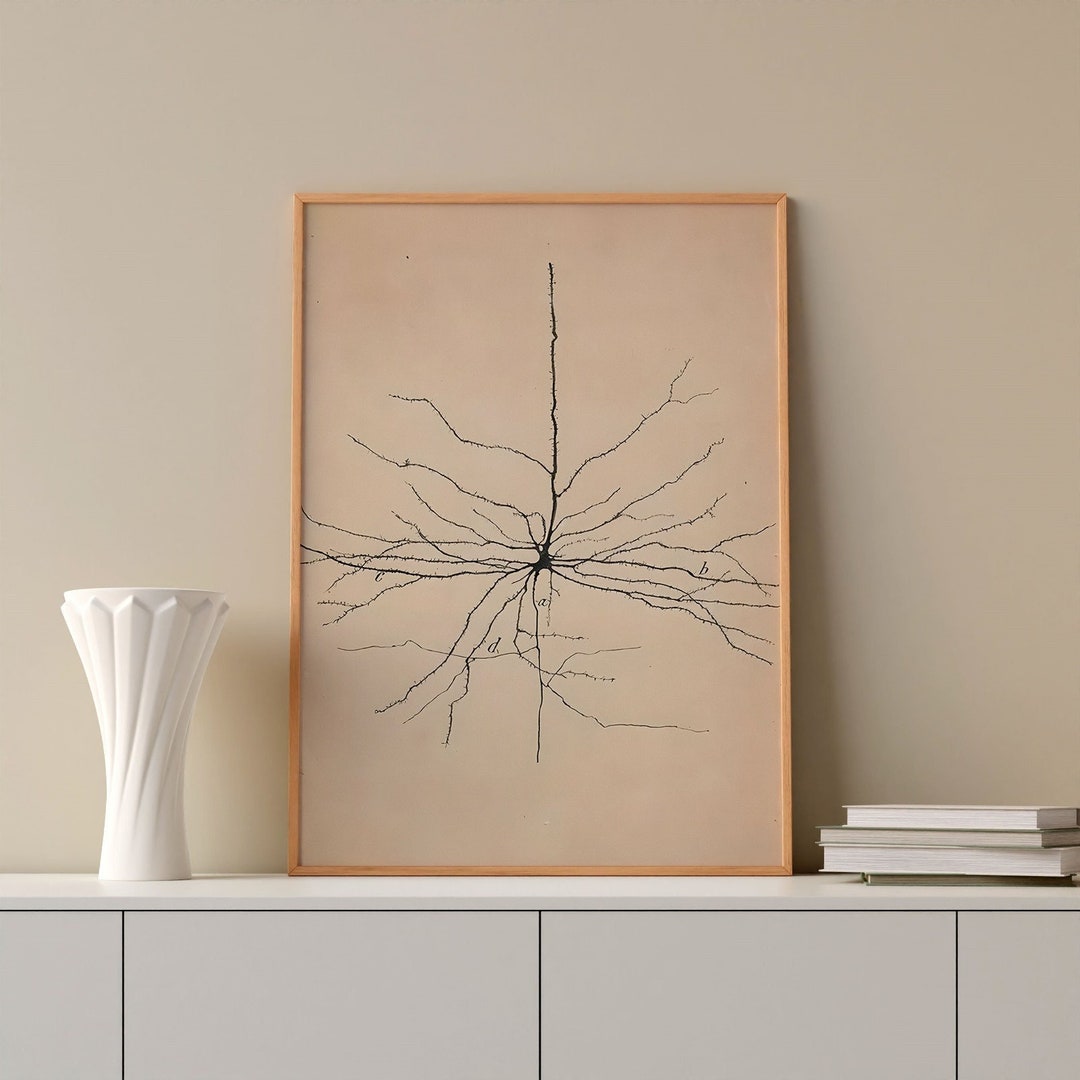 Santiago Ramón Y Cajal - Neuron Painting, Neuron Painting, Reproduction ...