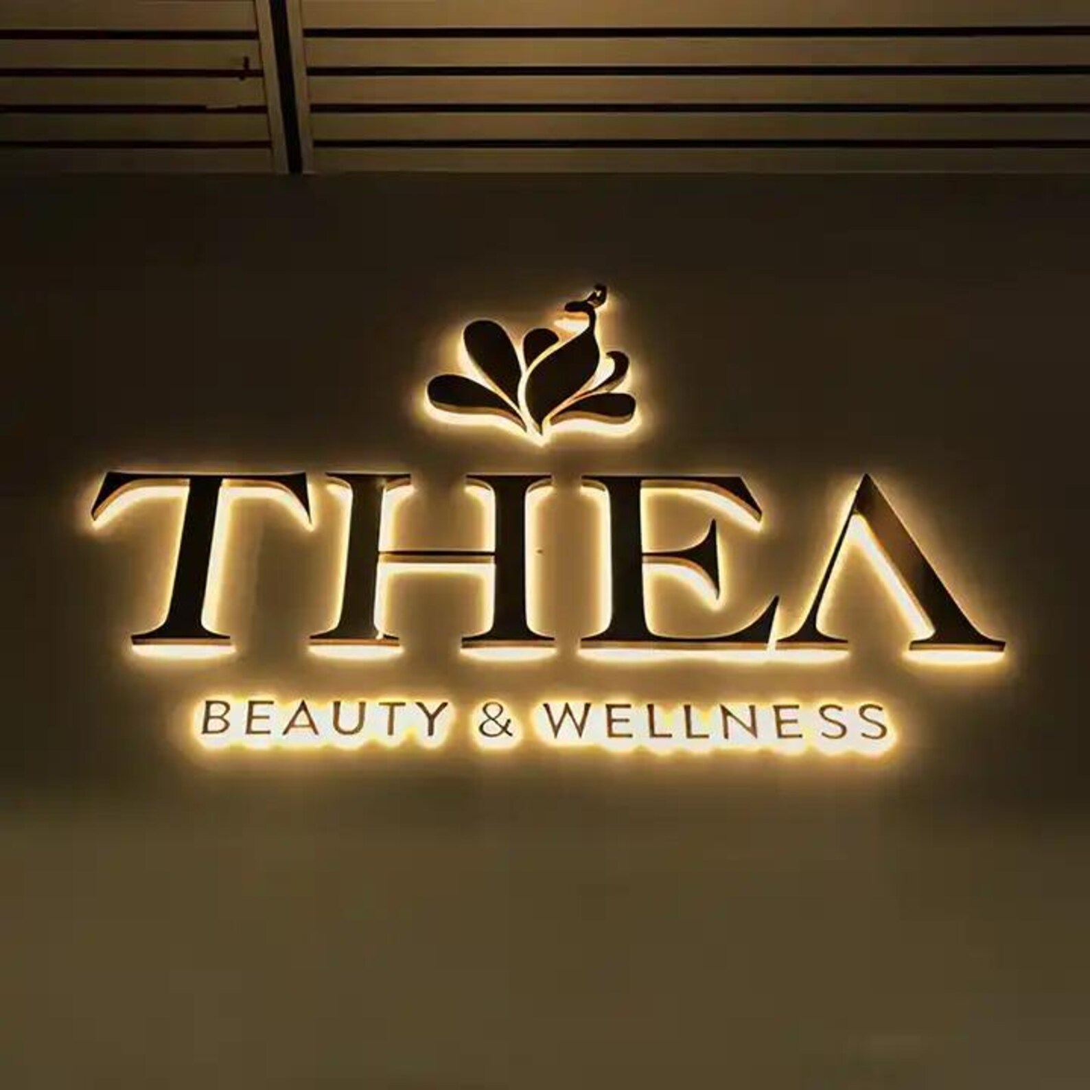 Laser Custom Logo, Signs Sign Salon Custom Cut Sign Metal Sign Cut ...