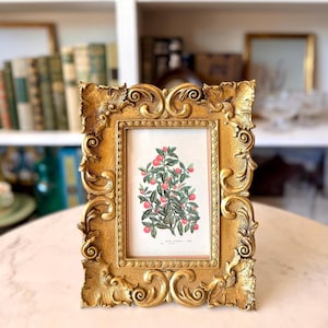 Vintage Botanical Art Print in Ornate Gold Frame - Etsy
