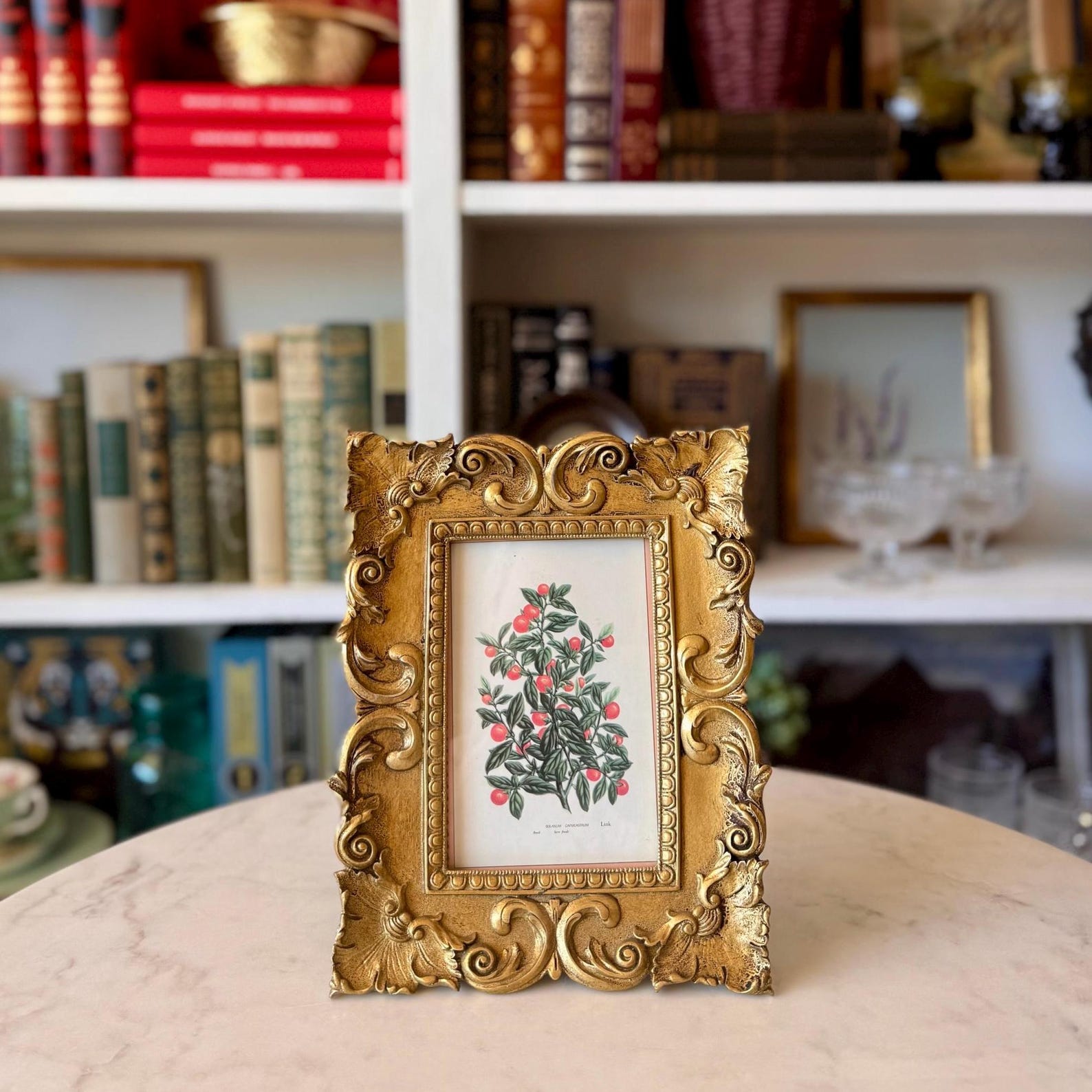 Vintage Botanical Art Print in Ornate Gold Frame - Etsy