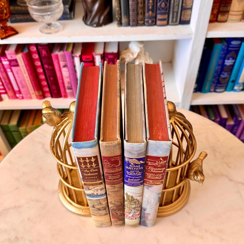 Vintage Illustrated Junior Library Collection: Set of 4 Hardcovers - Etsy