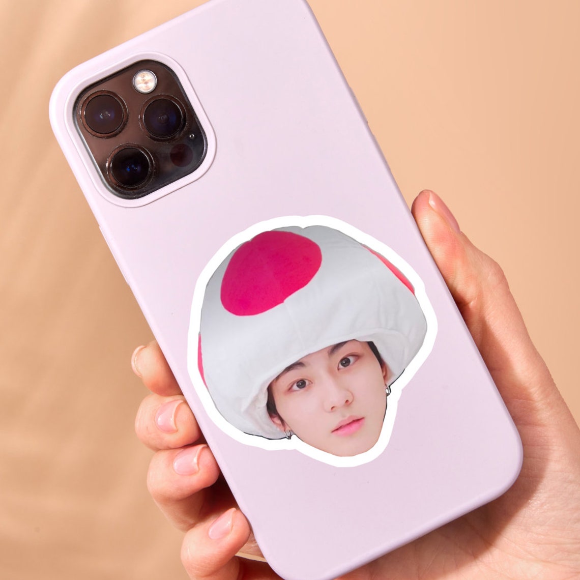 Enhypen Jungwon Stickers, Kpop Room Merch Stickers, Gift for Enypen ...
