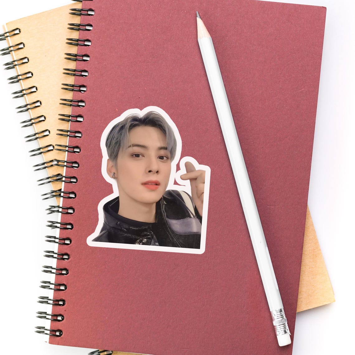 10 Pcs of Astro Cha Eunwoo Stickers, Astro Cha Eunwoo Cute Photo ...