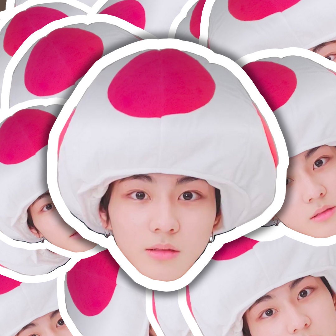 Enhypen Jungwon Stickers, Kpop Room Merch Stickers, Gift for Enypen ...