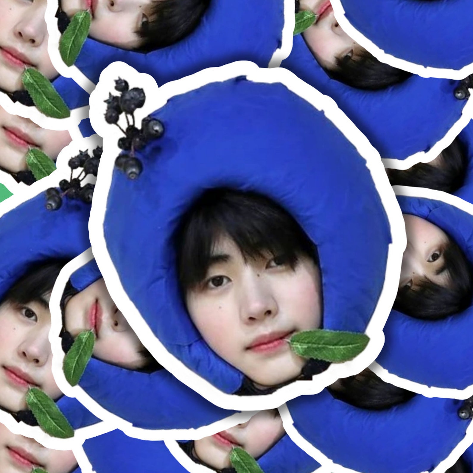 Enhypen Sunghoon Funny Meme Stickers, K-pop Sunghoon Stickers, Sunghoon ...
