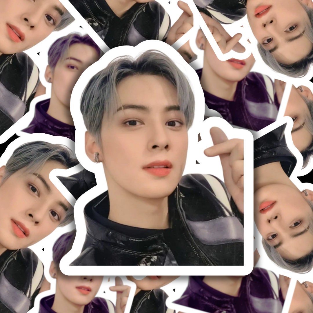 Astro Cha Eunwoo Stickers, Astro Cha Eunwoo Cute Photo Stickers Merch ...