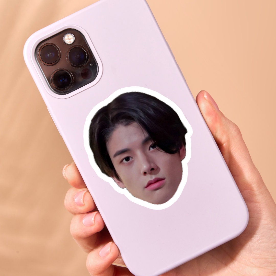 Enhypen Jake Face Meme Photo Stickers, Jake Stickers, Jake Merch Decor ...