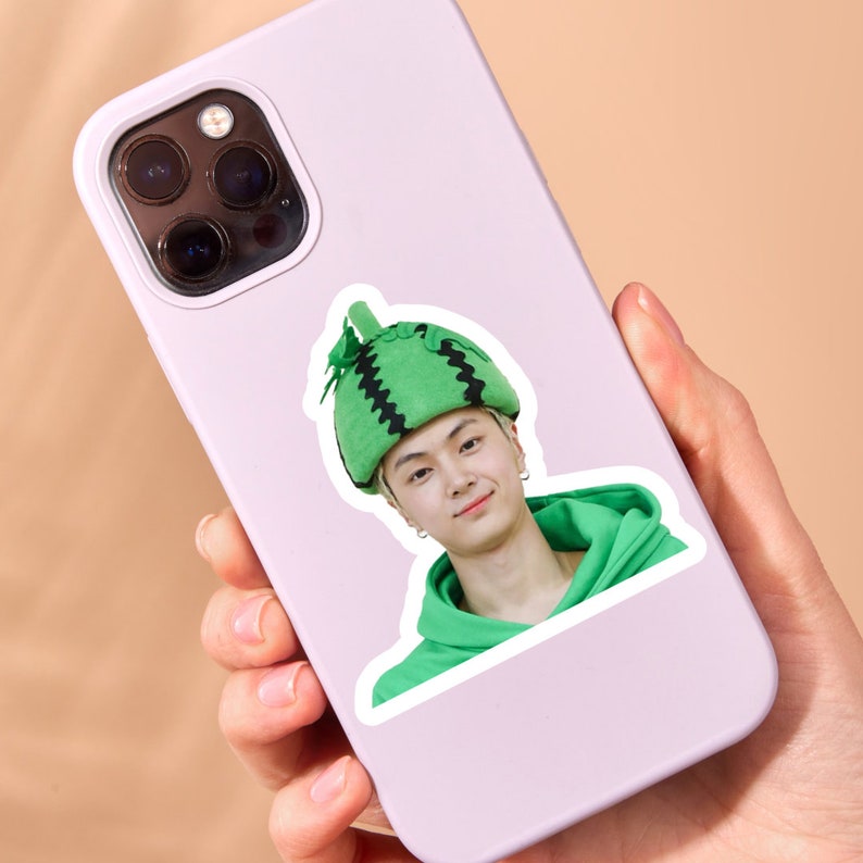 Enhypen Jay Funny Meme Green Stickers, Jay Stickers, Sunghoon Merch ...