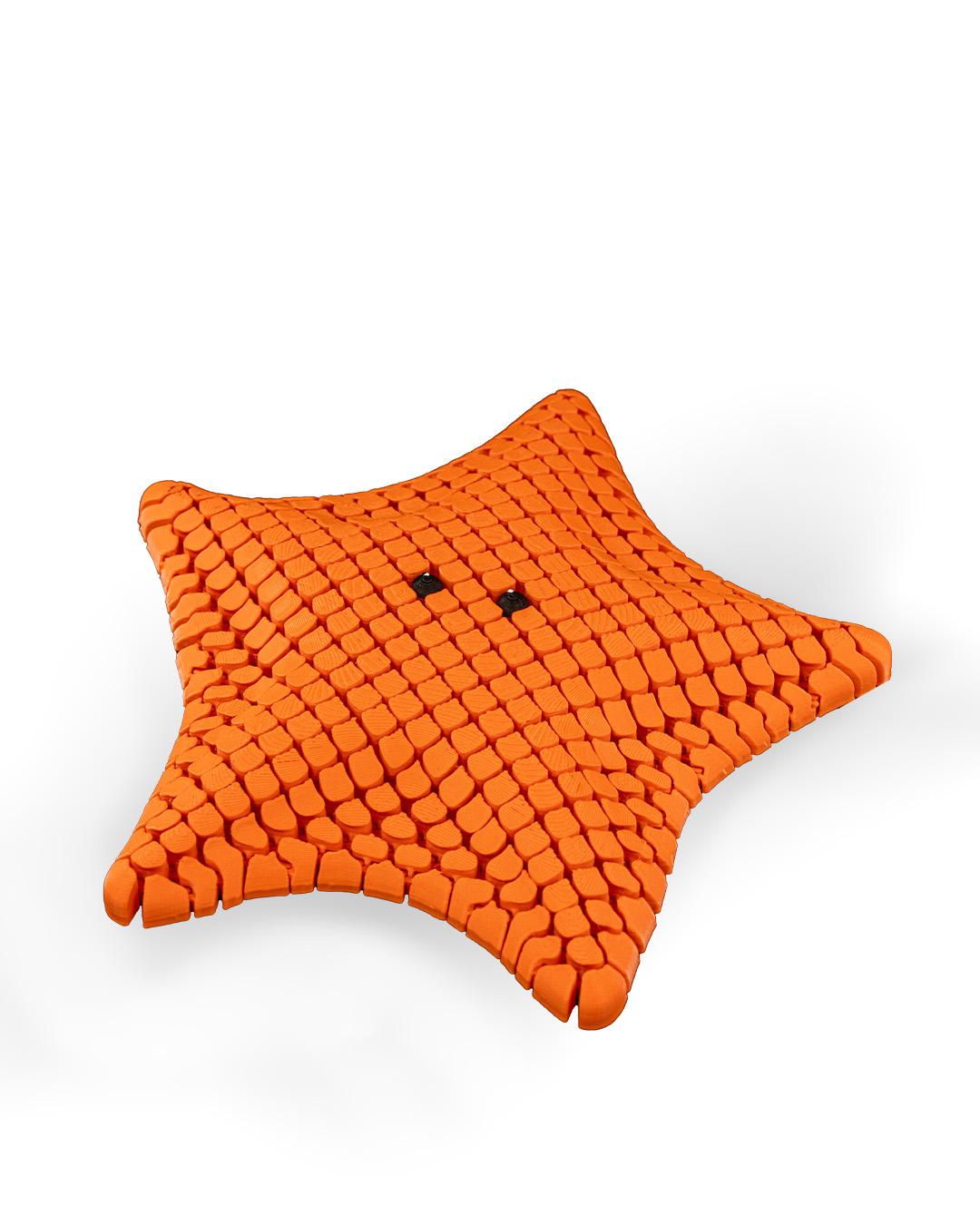 3d Printed Articulated Sea Star Fidget, Sea Star Fidget Toy, 3d Printed ...