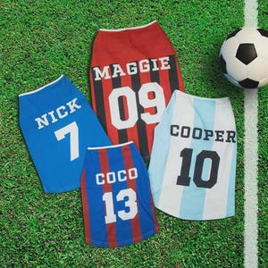 Custom Dog Football Jersey | Personalized Pet Shirt With Name & Number ...