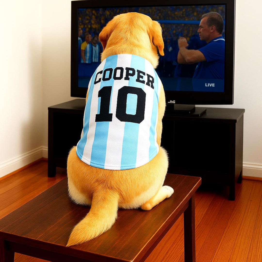 Custom Dog Football Jersey | Personalized Pet Shirt With Name & Number ...