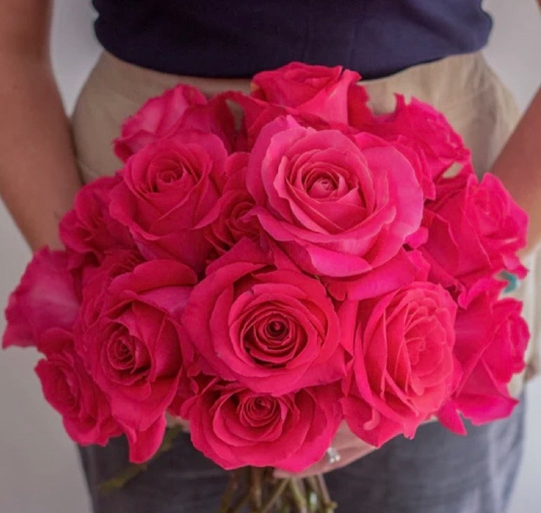 Deep Pink Floyd Rose Luxury Roses Pink Roses Deep Pink Roses Fresh Cut ...