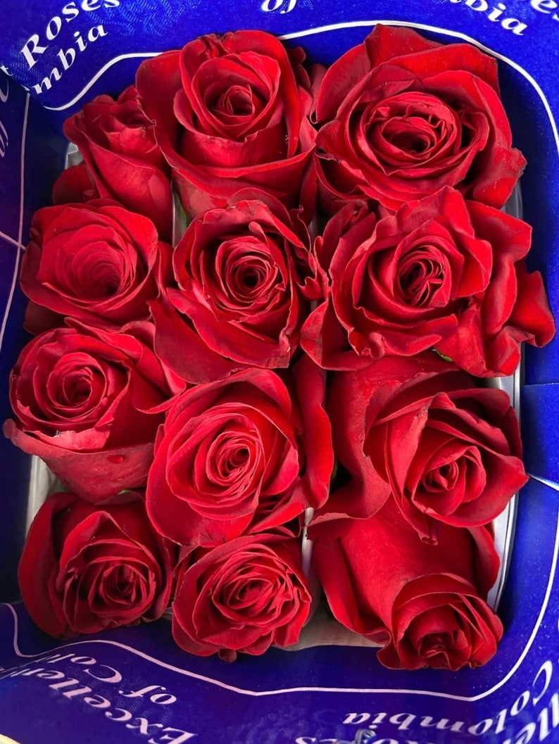 Fresh Cut Roses Roses Freedom Red Fresh Red Roses Wedding Flowersdiy ...