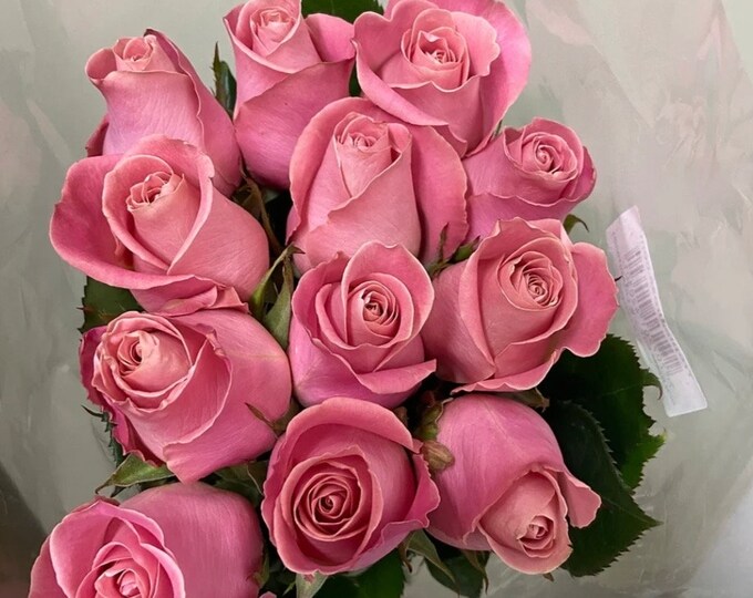 Fresh Cut Roses Roses Hermosa Bubble Gum Pink Fresh Pink Roses Wedding ...