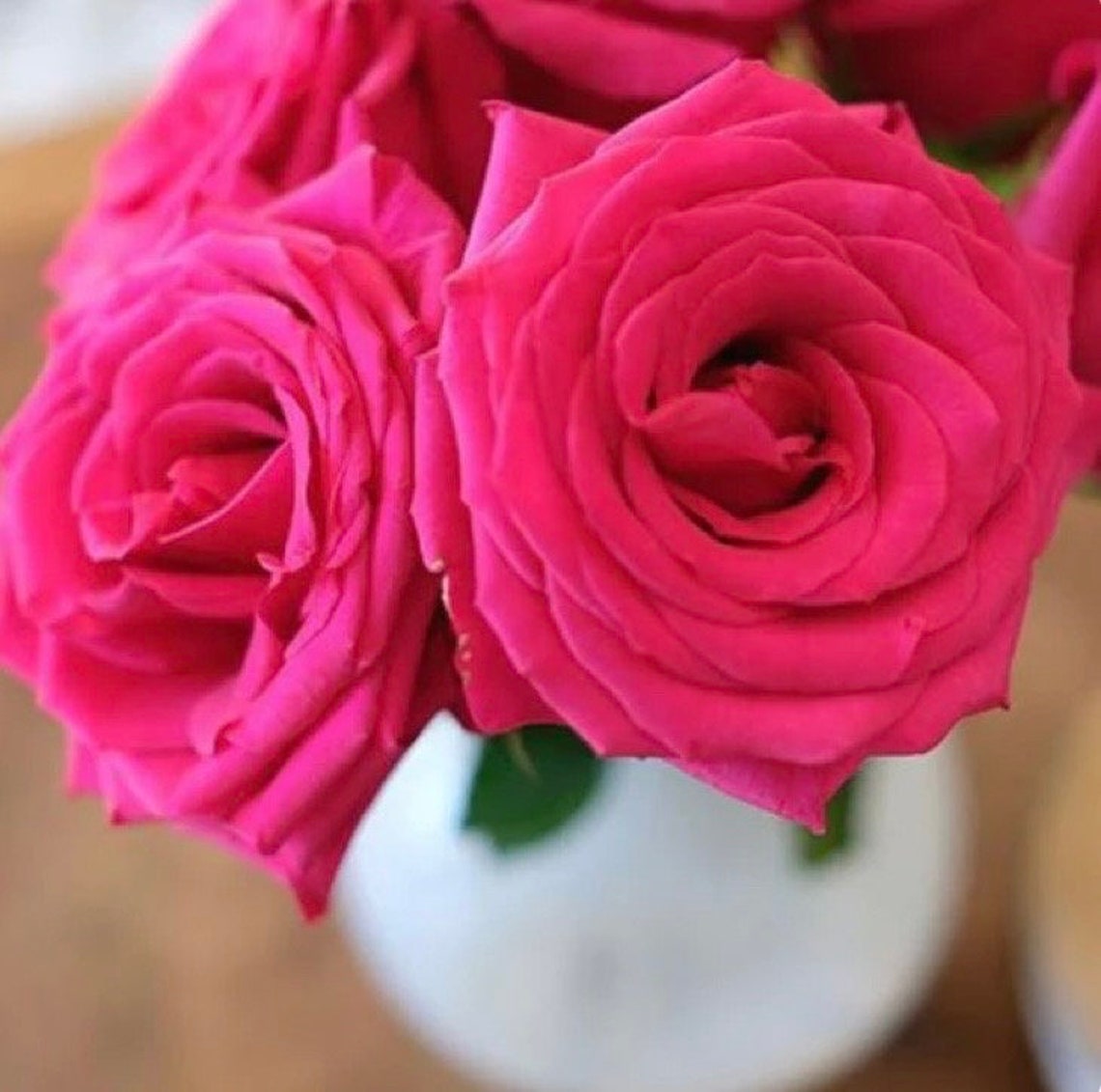 Deep Pink Floyd Rose Luxury Roses Pink Roses Deep Pink Roses Fresh Cut ...