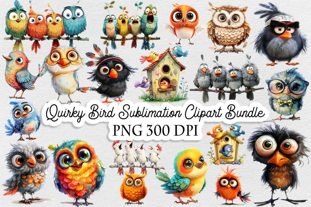 Quirky Bird Sublimation Clipart Bundle Png, Watercolor Bird Animals ...