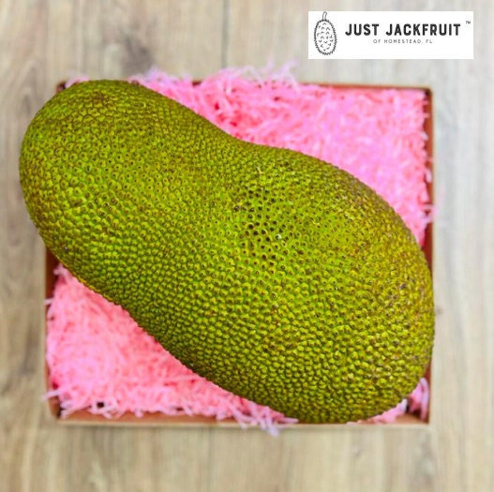 Small Fresh Jackfruit Box - (8-13 Pounds) - Etsy