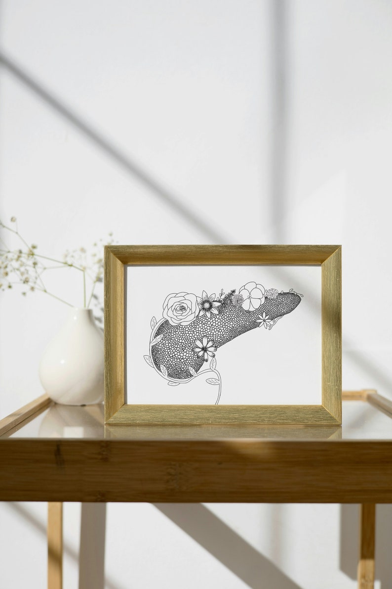 Floral Anatomy Pancreas Art, Type 1 Diabetes Awareness, Line Drawing ...