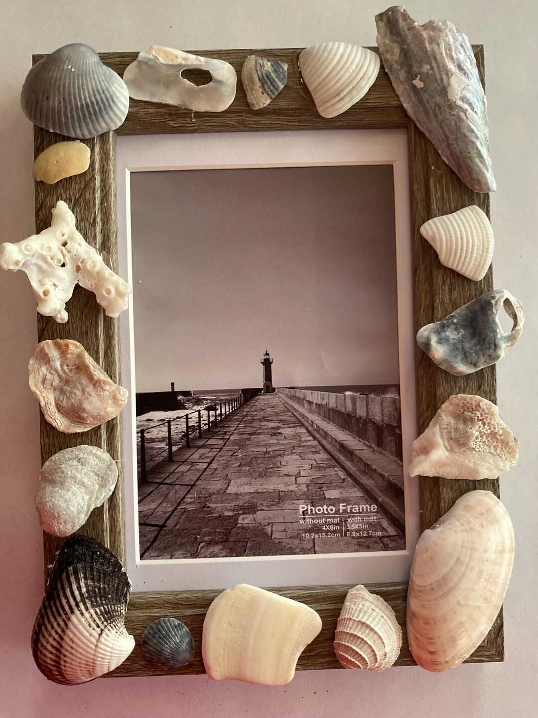 Real Sea Shells 4x6 Picture Frame - Etsy