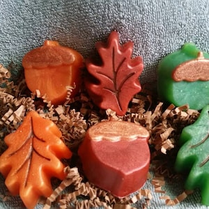Fall Soap Set: Leaf and Acorn Guest Soaps, Party Favors - Etsy