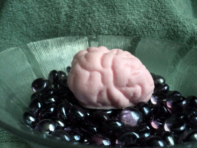 Brain Soap Brain Gag Gift Doctor Surgeon Surgery Fake - Etsy