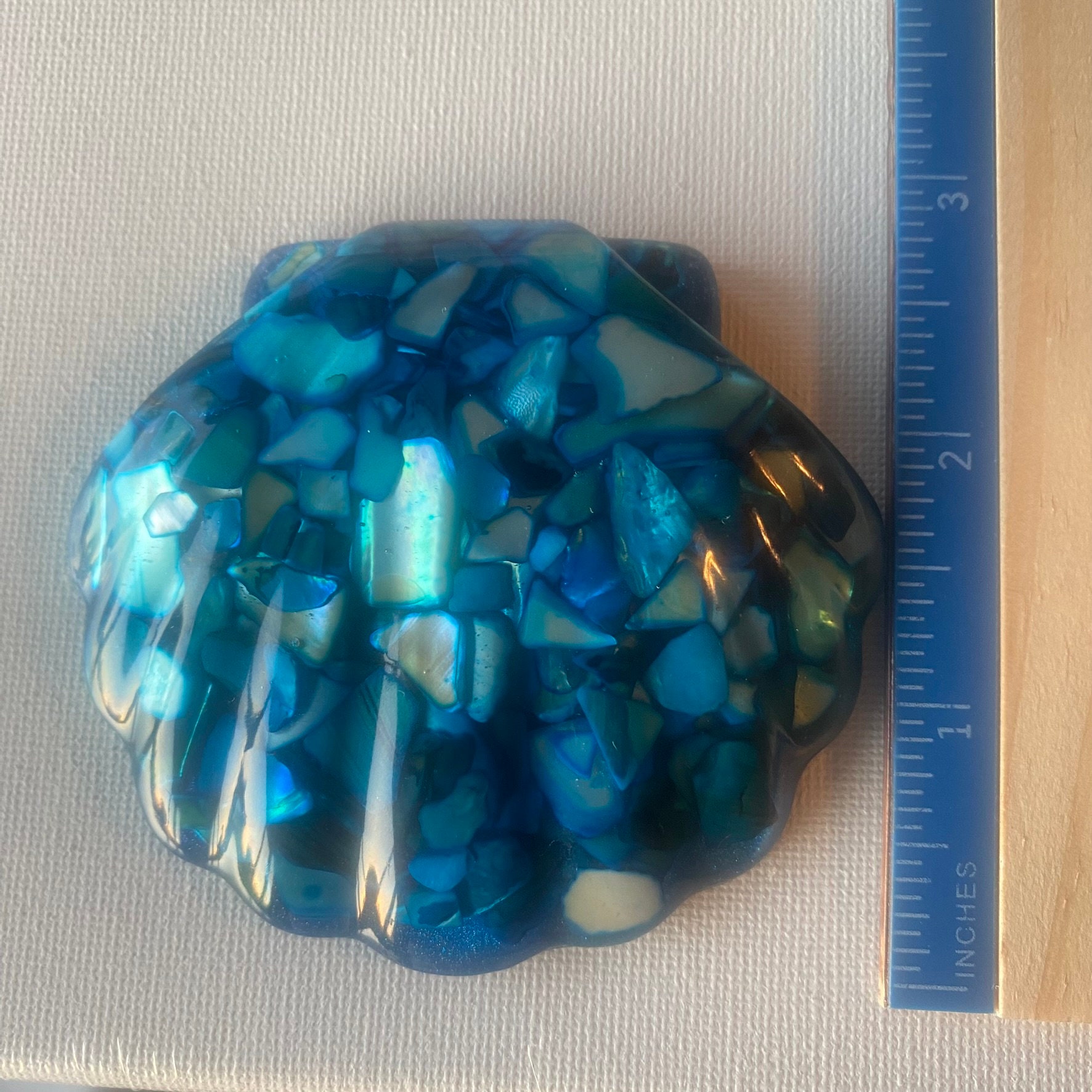 Seashell Collectors Beach Lovers Check Out These Handcrafted Epoxy ...