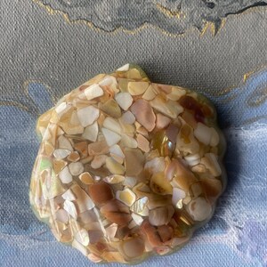 Seashell Collectors Beach Lovers Check Out These Handcrafted Epoxy ...
