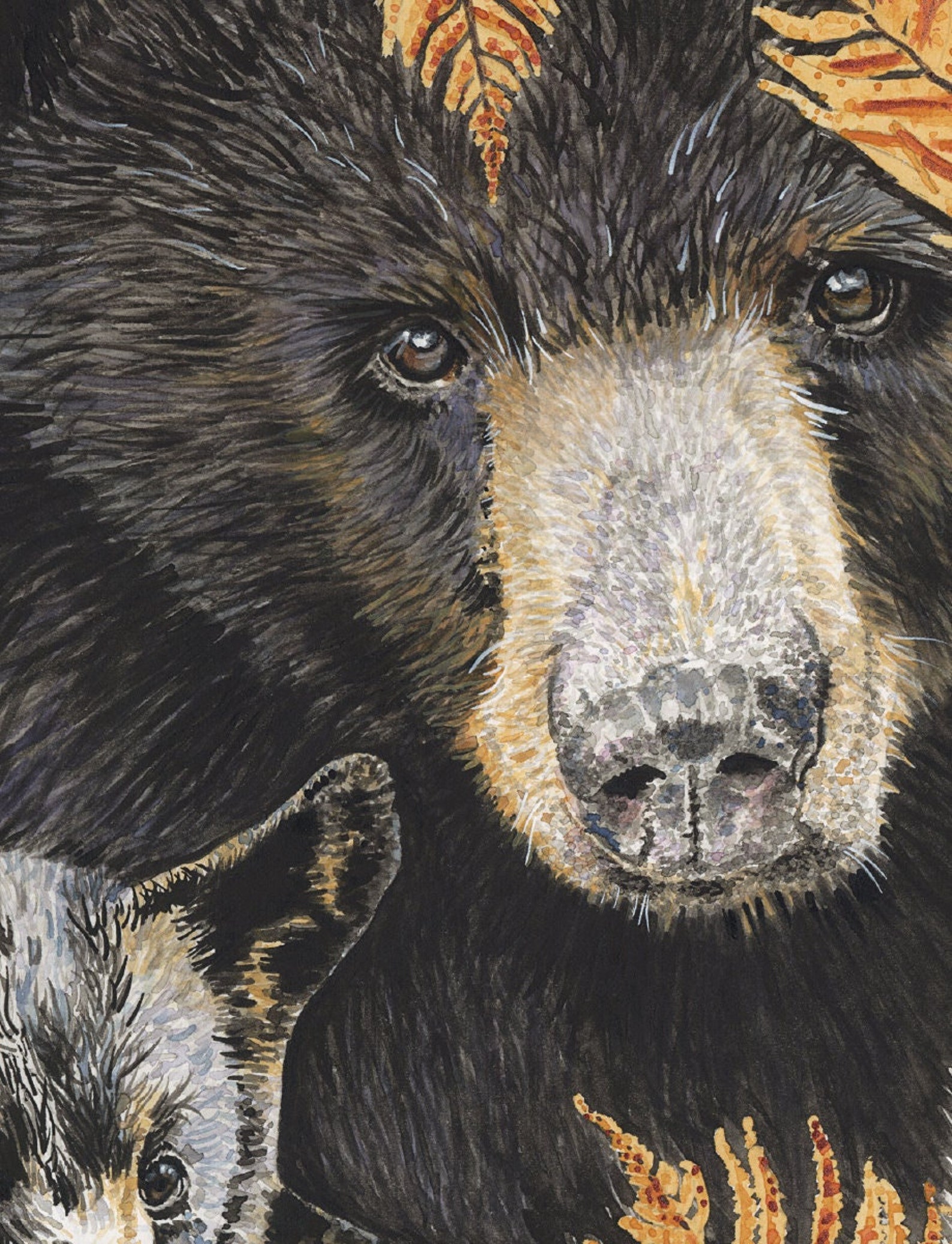Limited Edition Fine Art Print - for Jojo - Momma Black Bear With Cub ...