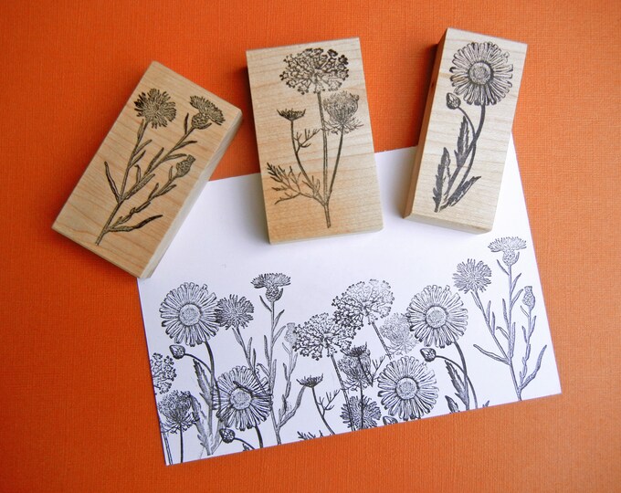 Thistle, Queen Anne's Lace and Daisy Flower Rubber Stamp SET, Fall ...