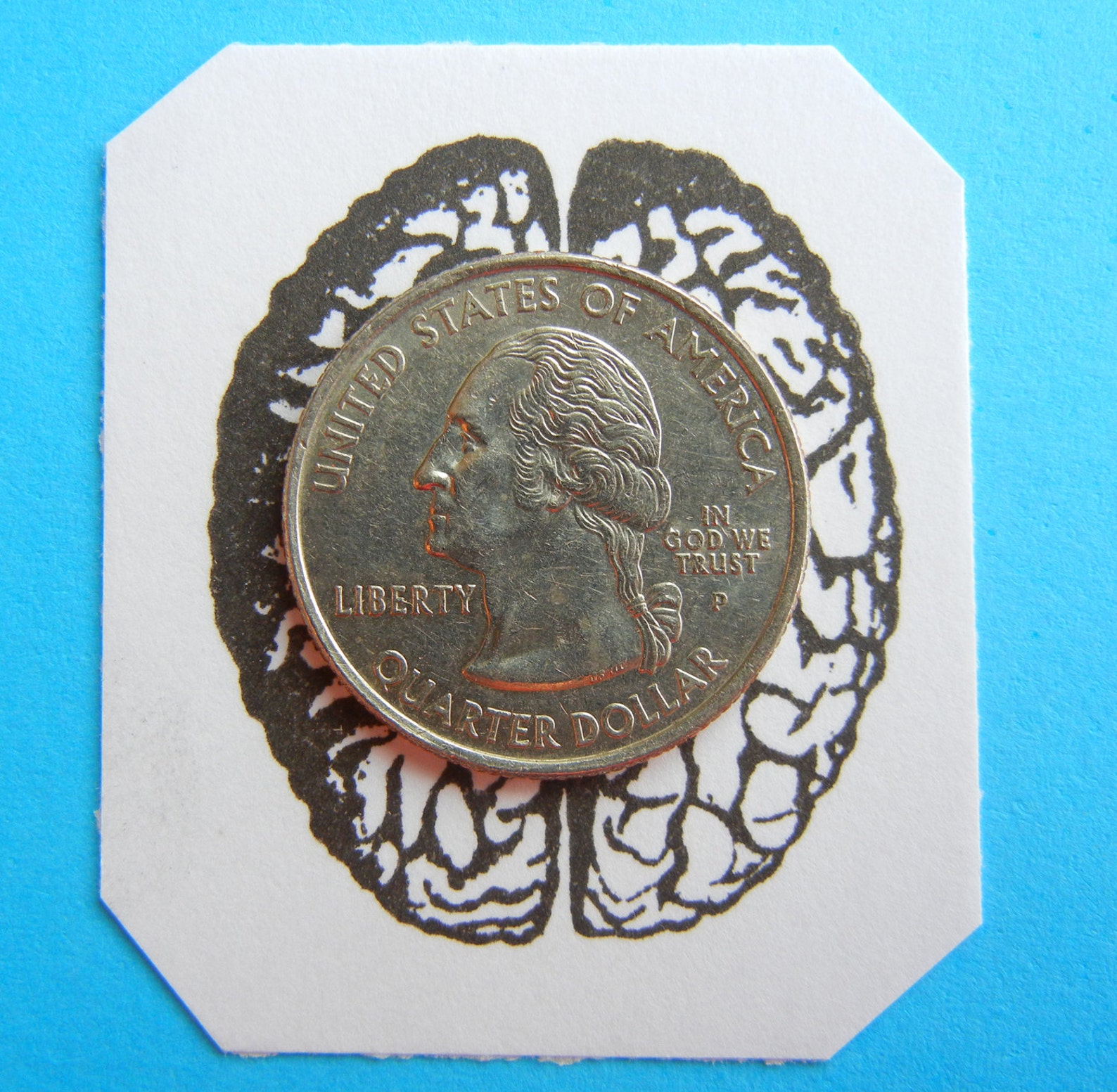 Human Brain Rubber Stamp Anatomy Rubber Stamp Gift for - Etsy