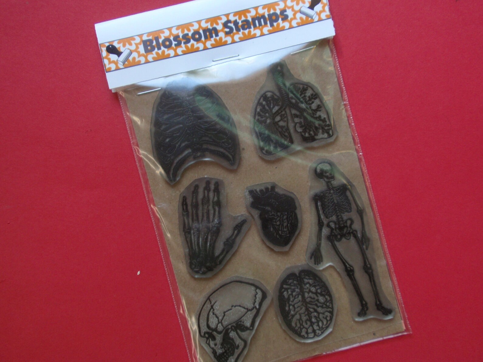 Anatomy Rubber Stamps//skeleton Rubber Stamp//bones Rubber Stamp Set ...