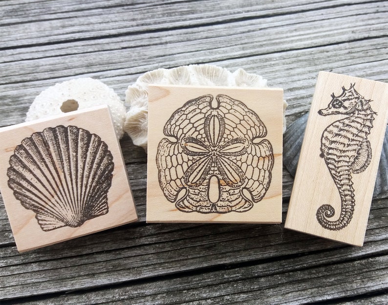 Scallop Shell Stamp Seashell Stamp Handmade by | Etsy