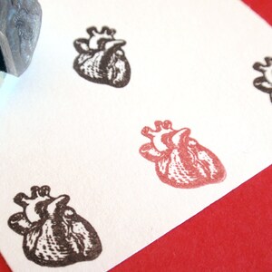 Anatomical Heart Rubber Stamp, Human Heart Anatomy Stamp, Gift for ...