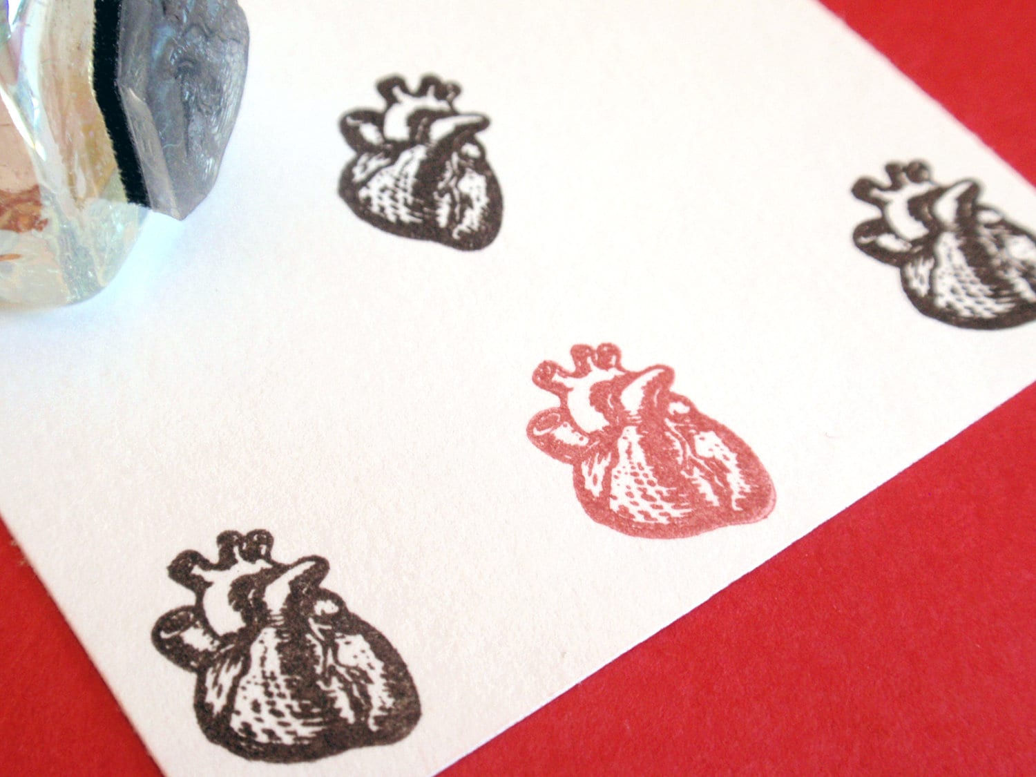 Anatomical Heart Rubber Stamp Human Heart Anatomy Stamp Gift - Etsy