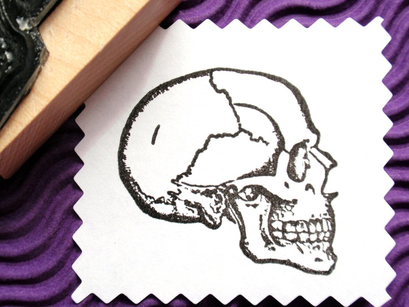 Tiny Skull Rubber Stamp Anatomy Rubber Stamp Gift for | Etsy