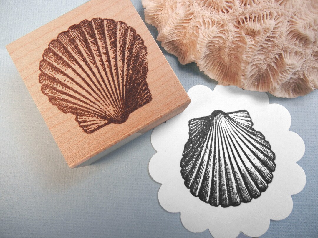 Scallop Shell Stamp Seashell Stamp Handmade by - Etsy