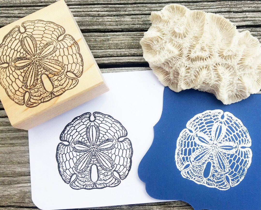 Sand Dollar Rubber Stamp, Sand Dollar Art Stamp, Small and Large Set ...