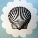 Scallop Shell Stamp Seashell Stamp Handmade by - Etsy